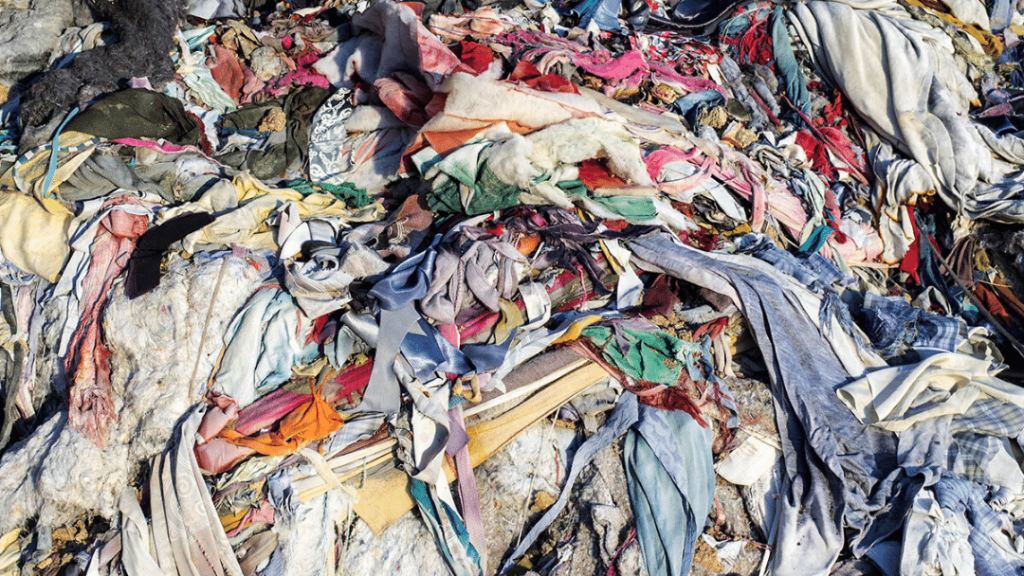 The Environmental Impact of Fast Fashion: Why Fast Fashion Is Bad for ...